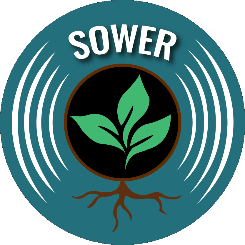 Sower Interactive